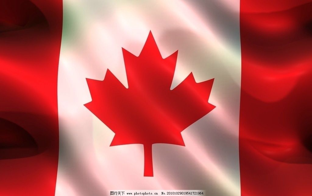 加拿大国旗上的枫叶是哪种枫?